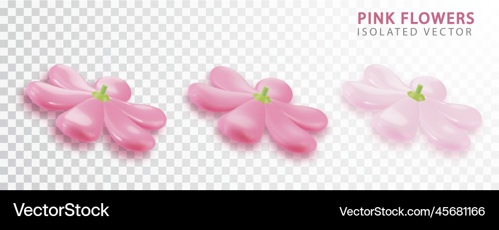 Pink realistic flowers view from above realistic Vector Image