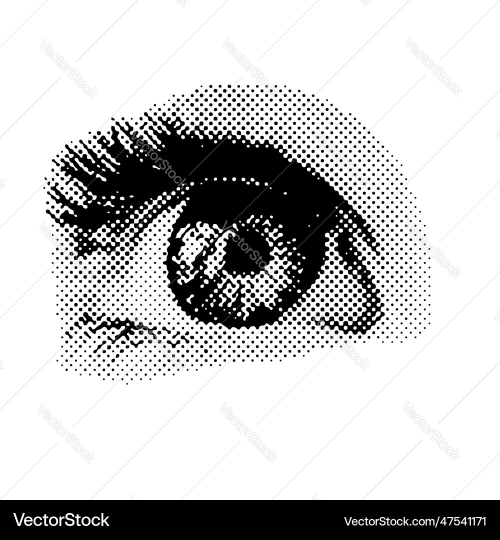 90s style halftone eye shape for trendy collage Vector Image