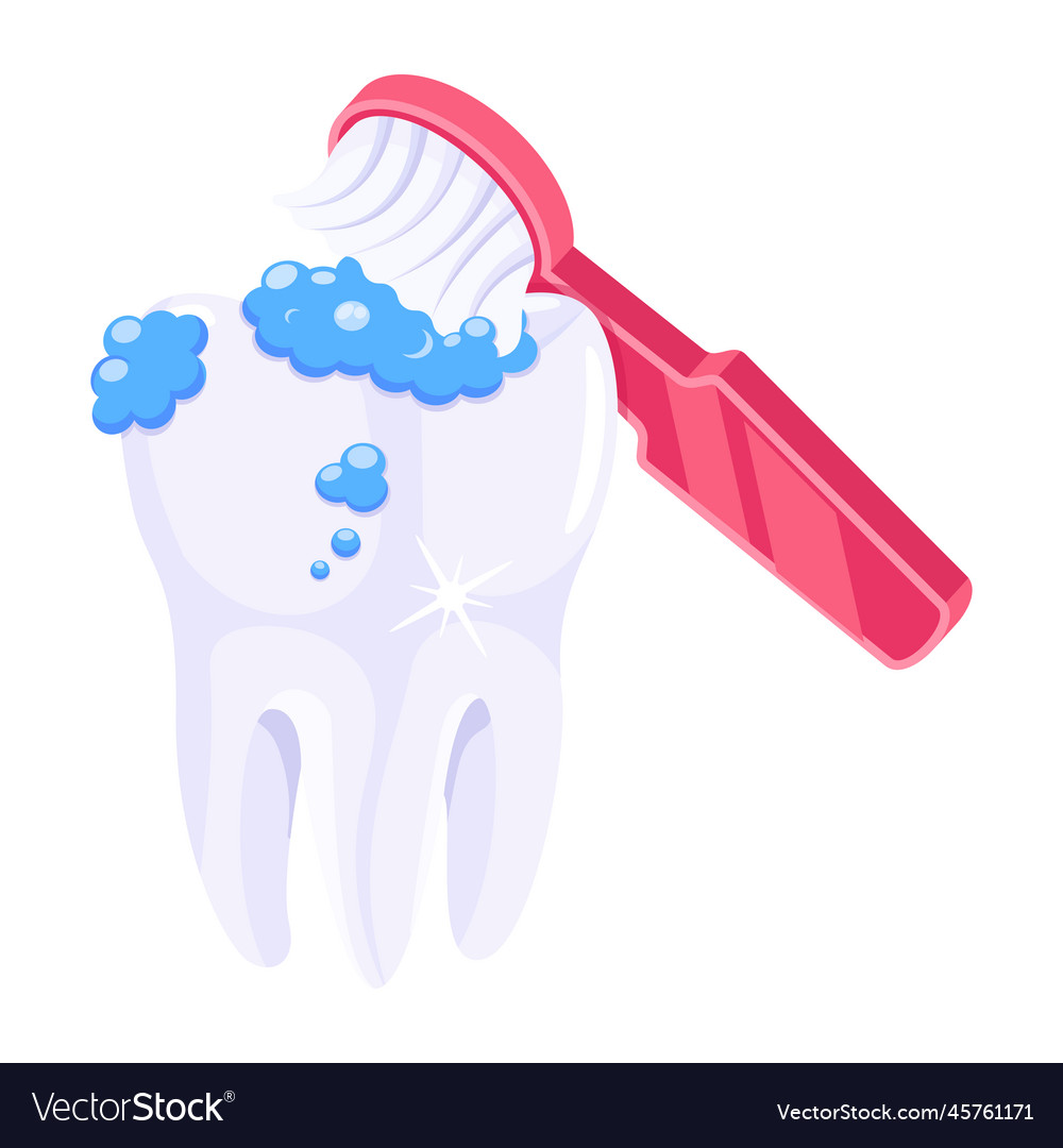 Cleaning tooth Royalty Free Vector Image - VectorStock