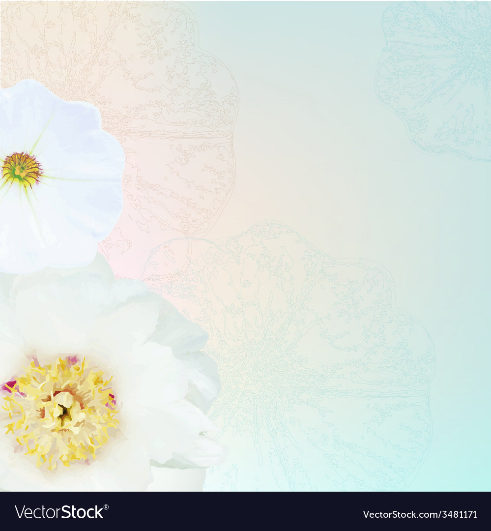 Flower border Royalty Free Vector Image - VectorStock