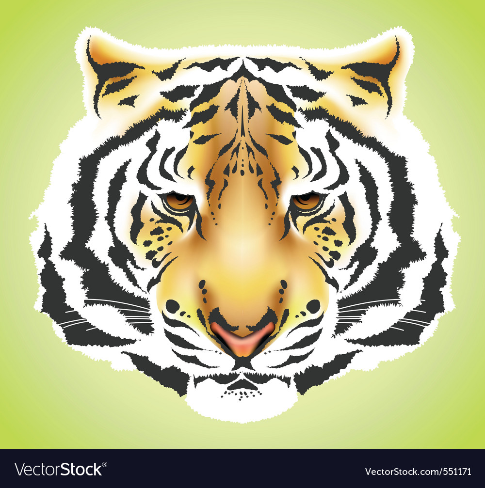 Tiger Royalty Free Vector Image - VectorStock
