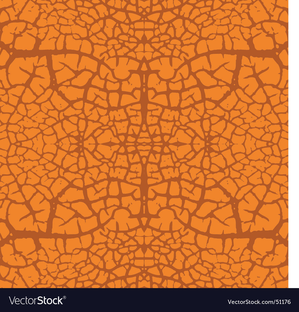 Cracks Royalty Free Vector Image - VectorStock