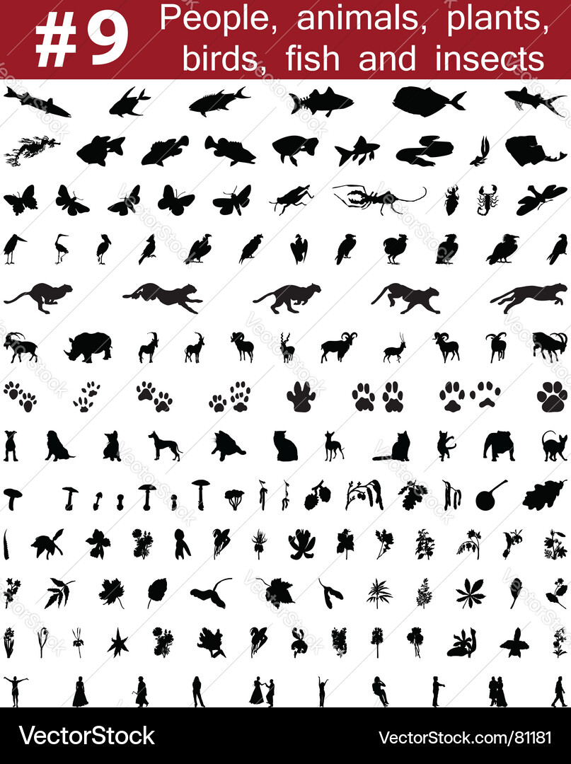 Silhouettes set Royalty Free Vector Image - VectorStock