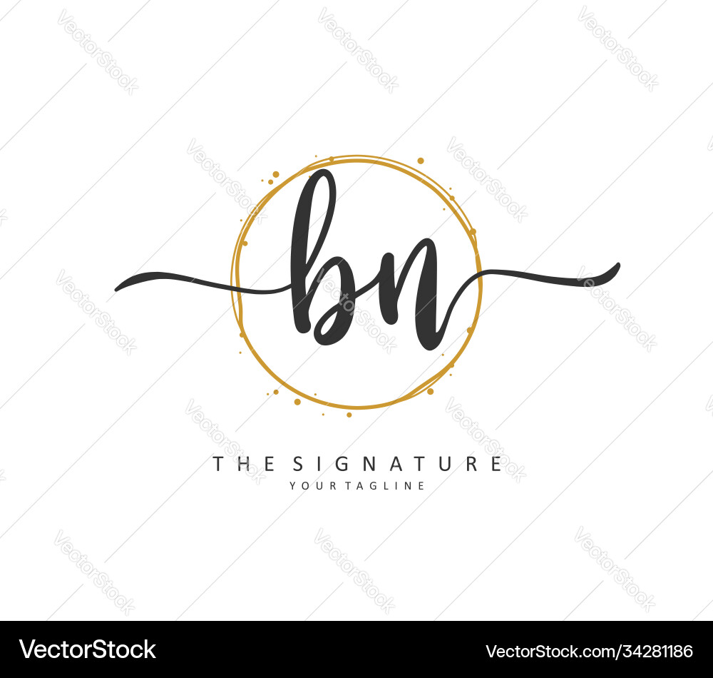 B n bn initial letter handwriting and signature Vector Image