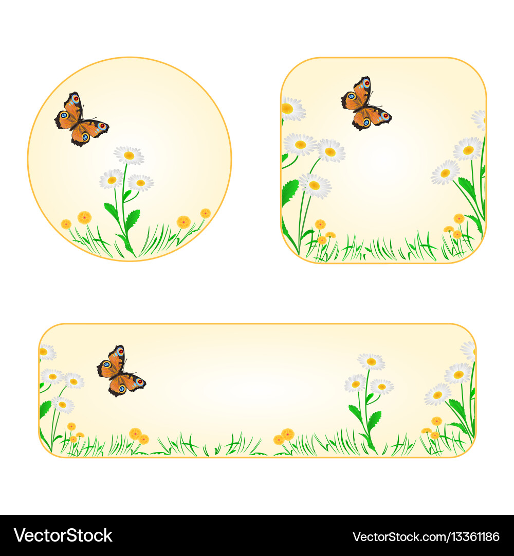 Banner and buttons daisy with butterfly Royalty Free Vector