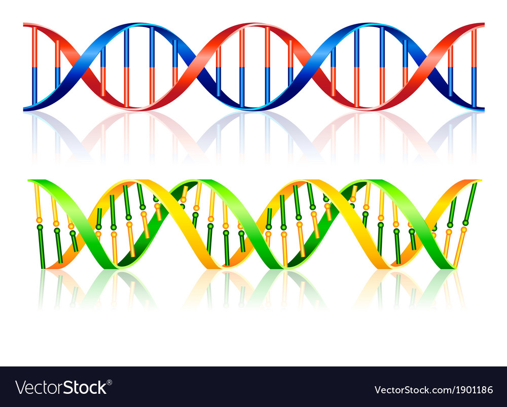 Dna Royalty Free Vector Image - VectorStock