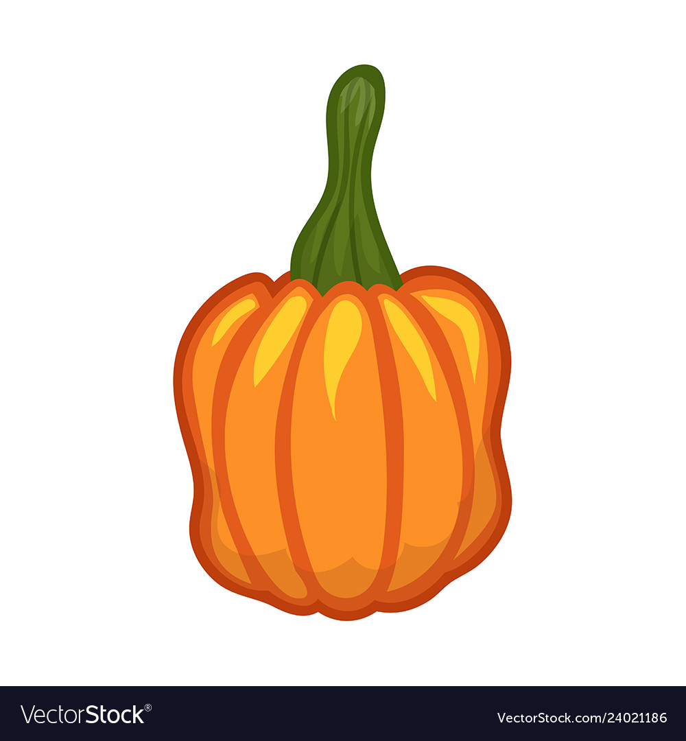 Pumpkin Royalty Free Vector Image - VectorStock