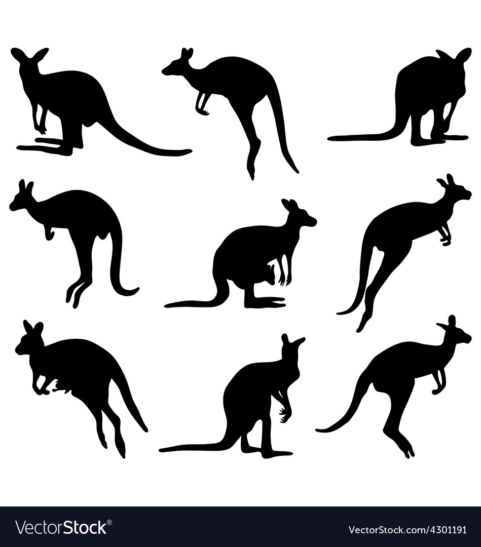 Kangaroo Royalty Free Vector Image - VectorStock