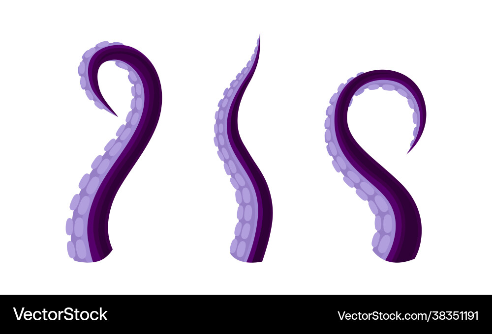 Octopus tentacles or limbs wiggling and snaking Vector Image