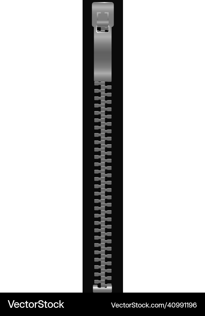 Fabric locker metal slider on vertical fly Vector Image