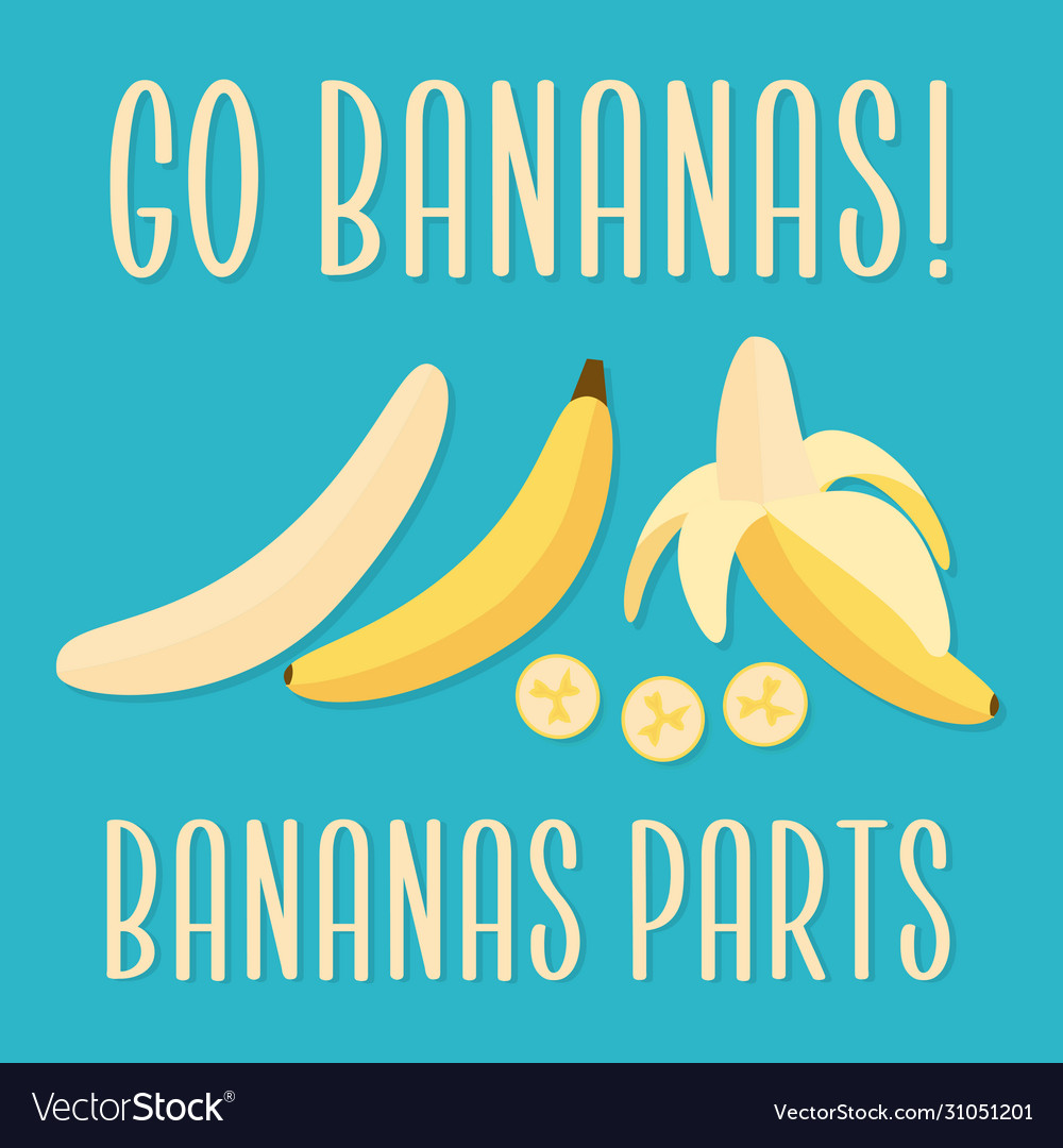 Bananas parts Royalty Free Vector Image - VectorStock