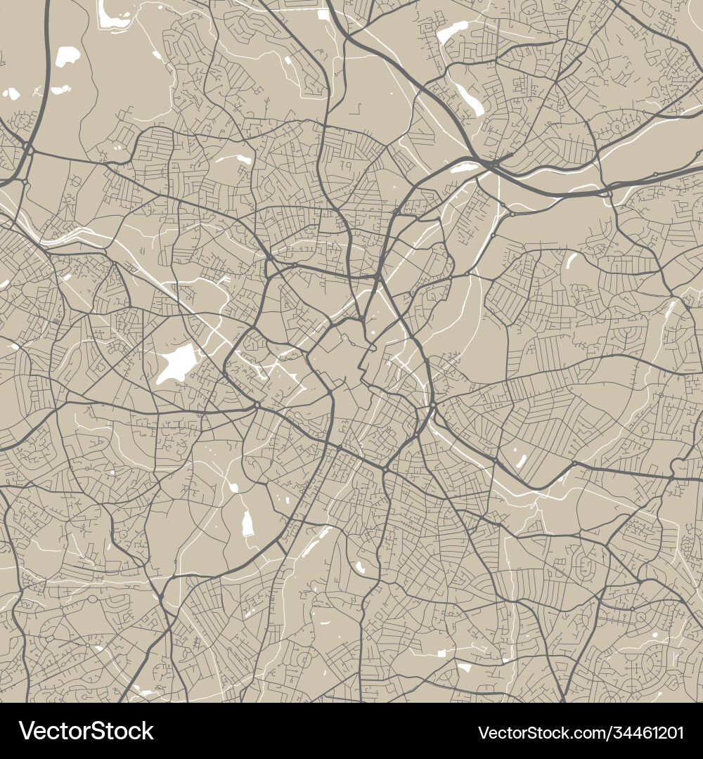 Detailed map birmingham city linear print Vector Image