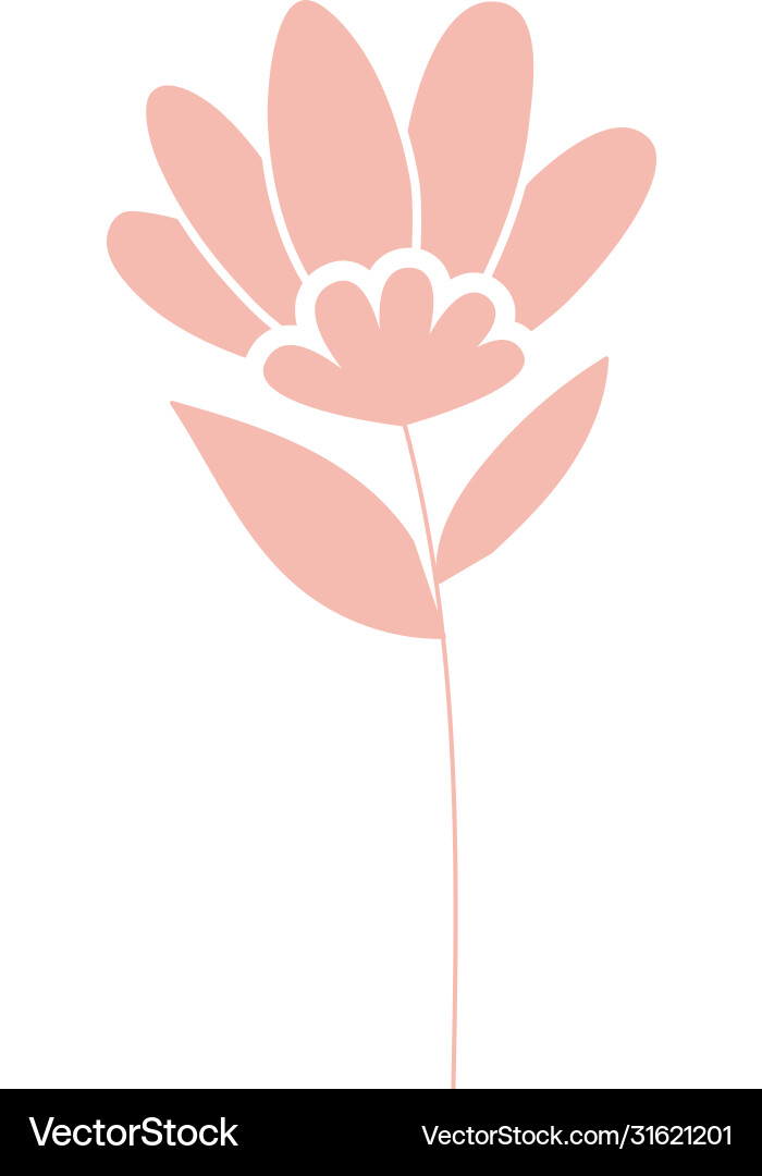 Isolated pink flower icon design Royalty Free Vector Image