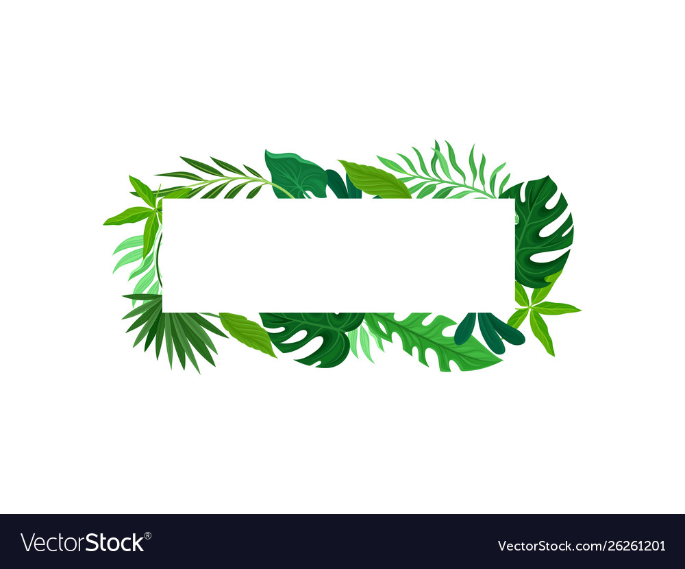 Narrow rectangular frame leaves placed outside Vector Image