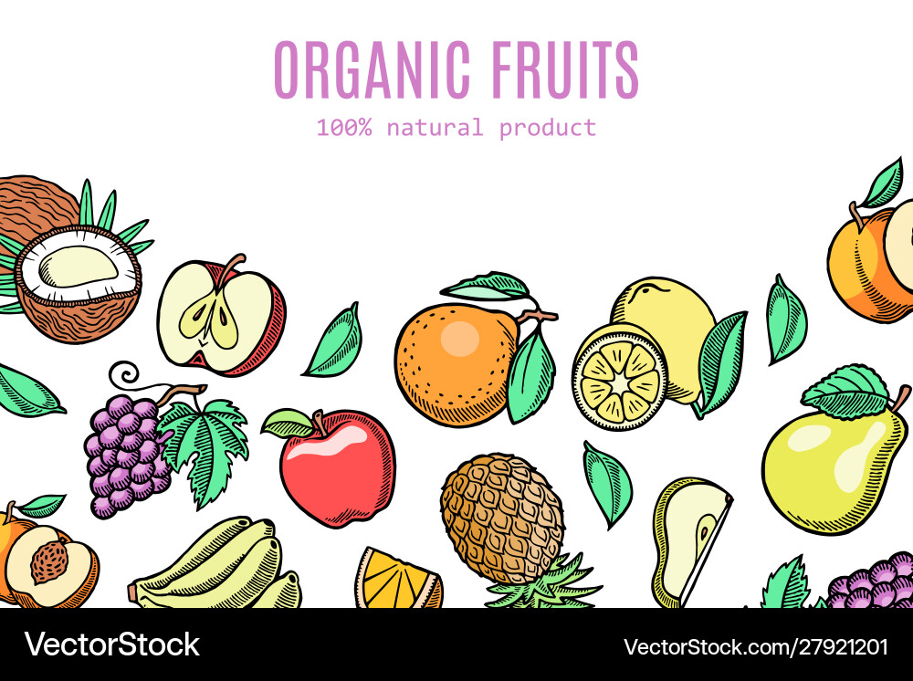 Organic eco fruits exotic Royalty Free Vector Image