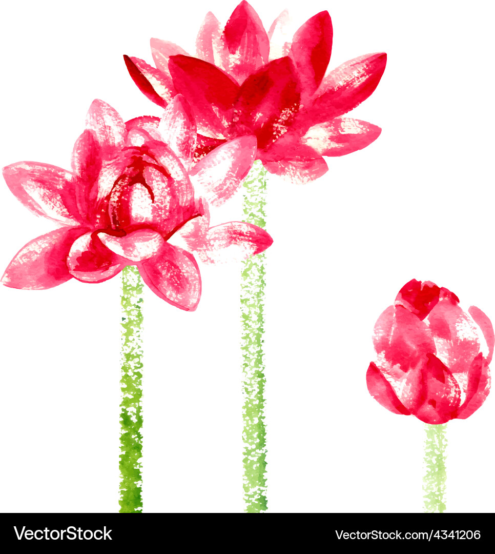 Background with red watercolor lotus Royalty Free Vector