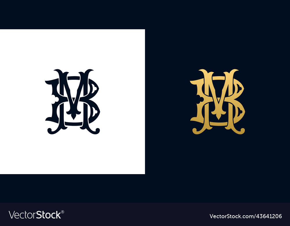 Decorative vintage initial letters bm monogram Vector Image Decorative vintage initial letters bm monogram Vector Image