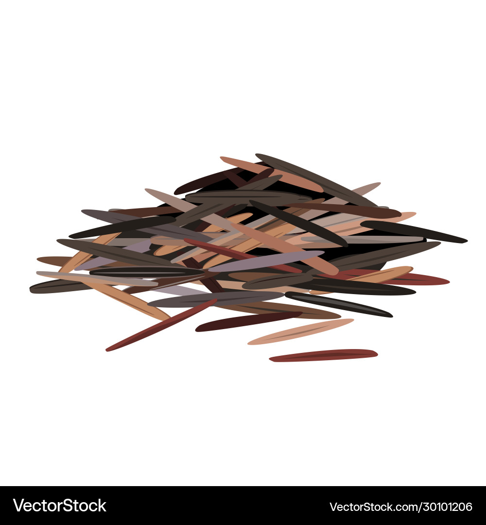 Heap black wild rice isolated on white Royalty Free Vector