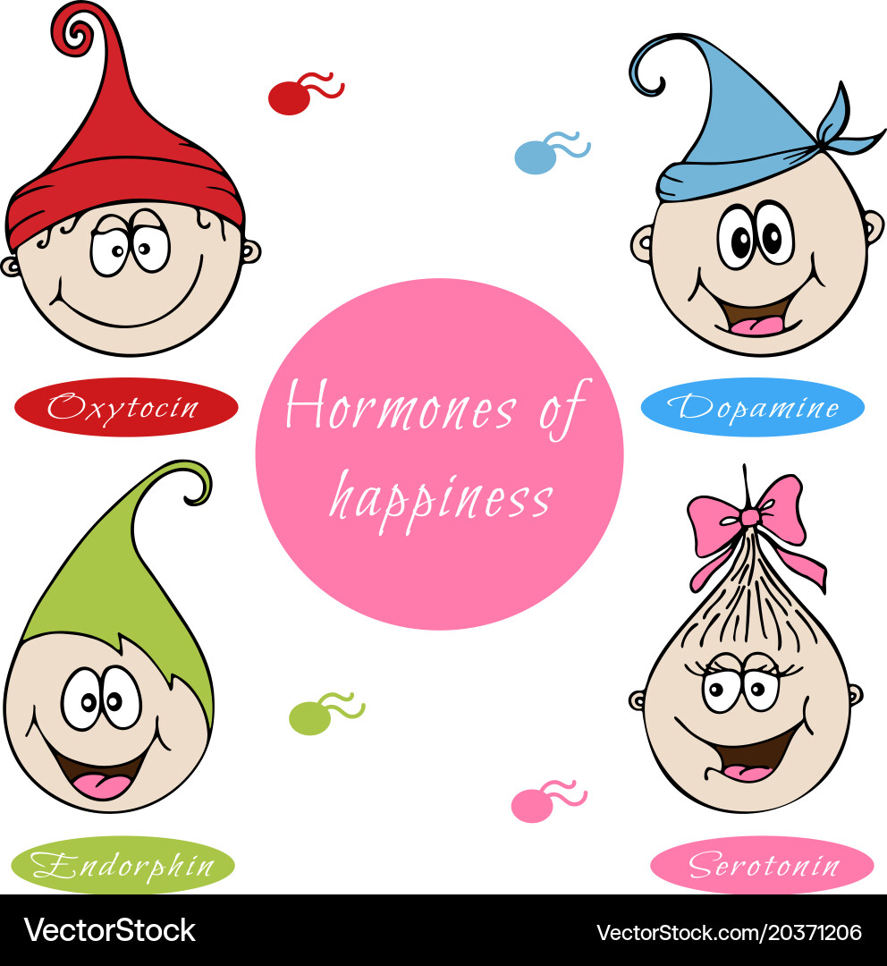 Hormones happiness dopamine endorphin Royalty Free Vector