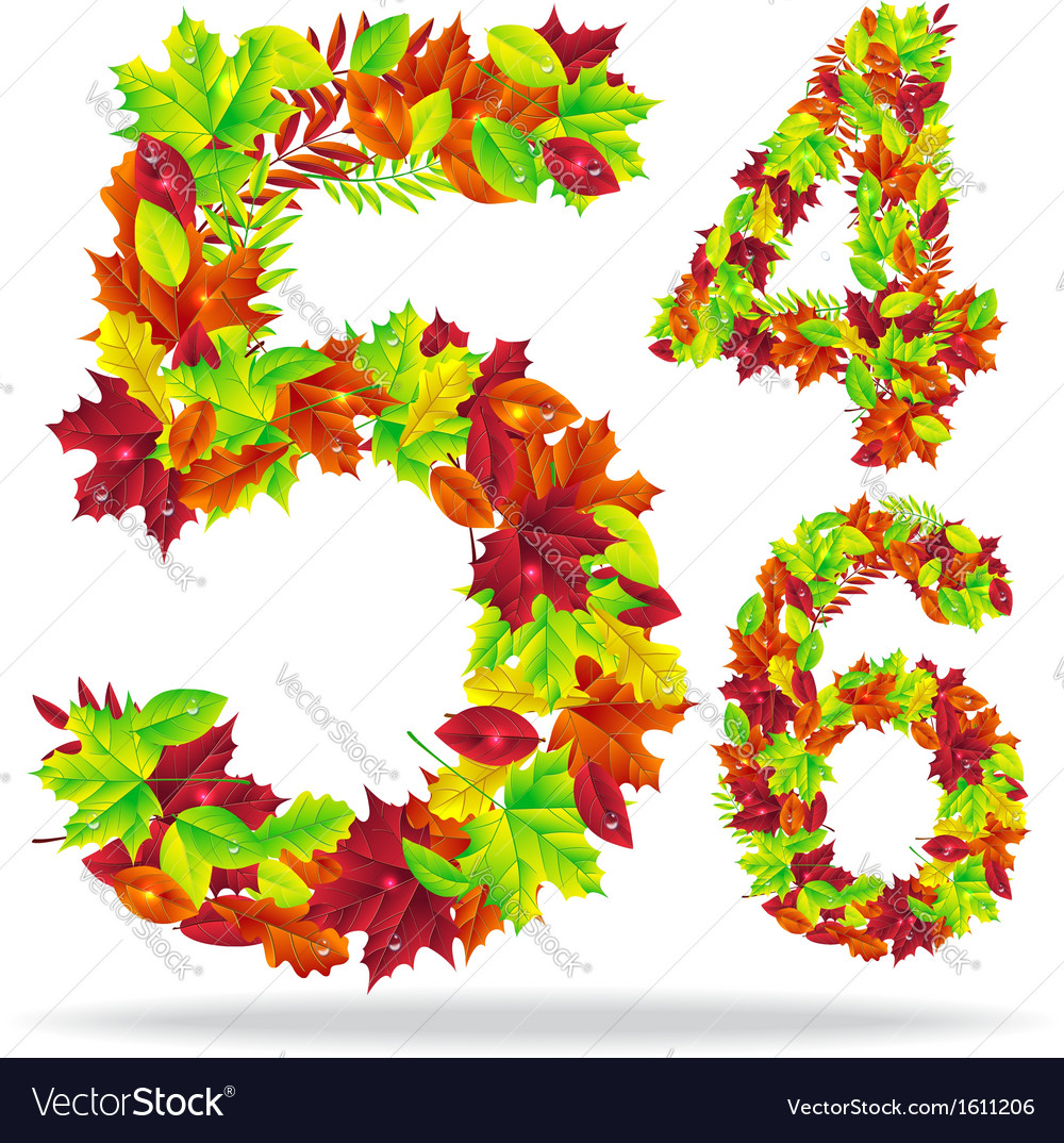 Numbers of autumn leaves Royalty Free Vector Image