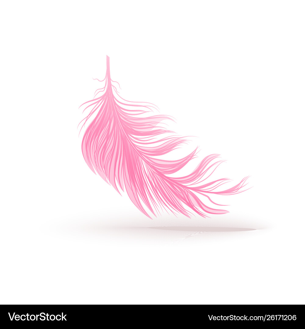Pink swirled feather close up 3d realistic Vector Image