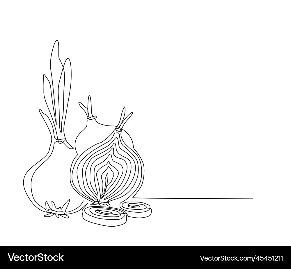 Continuous one line drawing of fresh organic Vector Image
