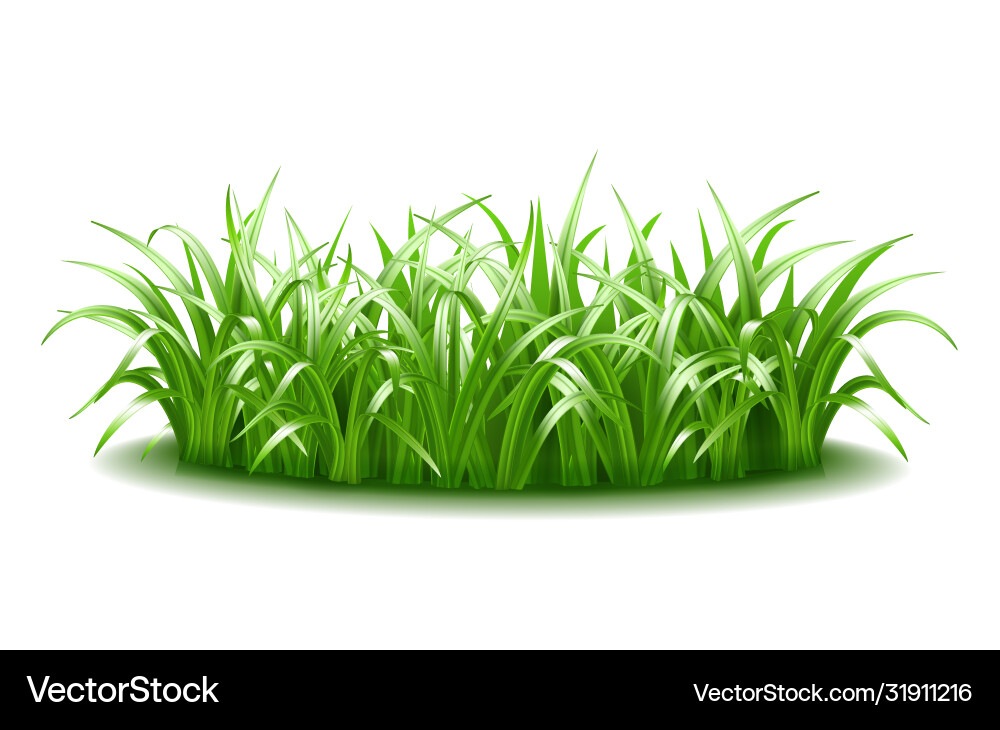 A thick tuft green juicy bright grass Royalty Free Vector