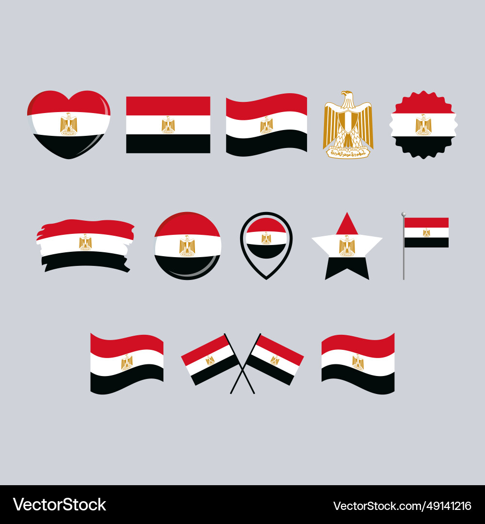 Egypt flag icon set on a gray background Vector Image