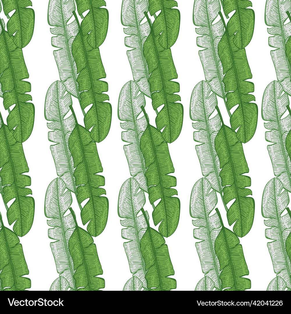 Banana leaves seamless patternvintage tropical Vector Image