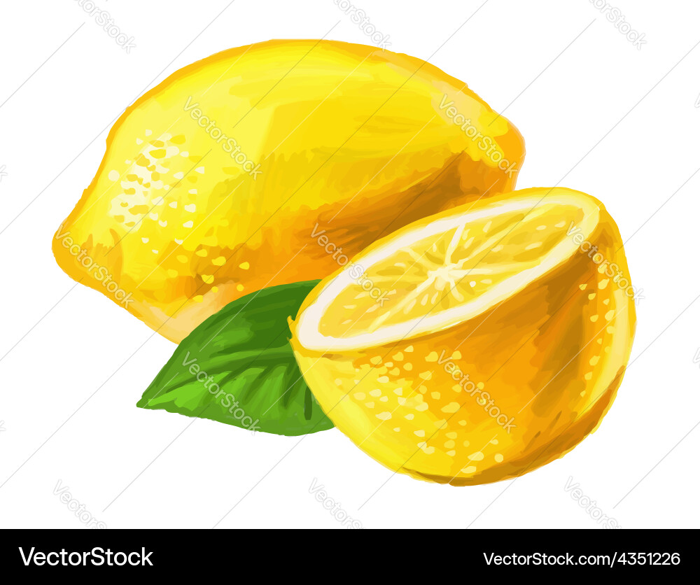 Picture of lemon Royalty Free Vector Image - VectorStock