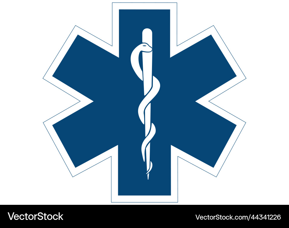 Star of life Royalty Free Vector Image - VectorStock