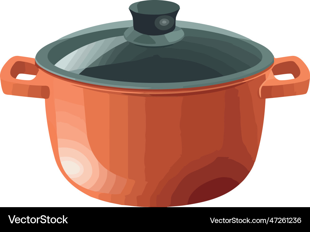 Stainless steel casserole with lid and handle Vector Image