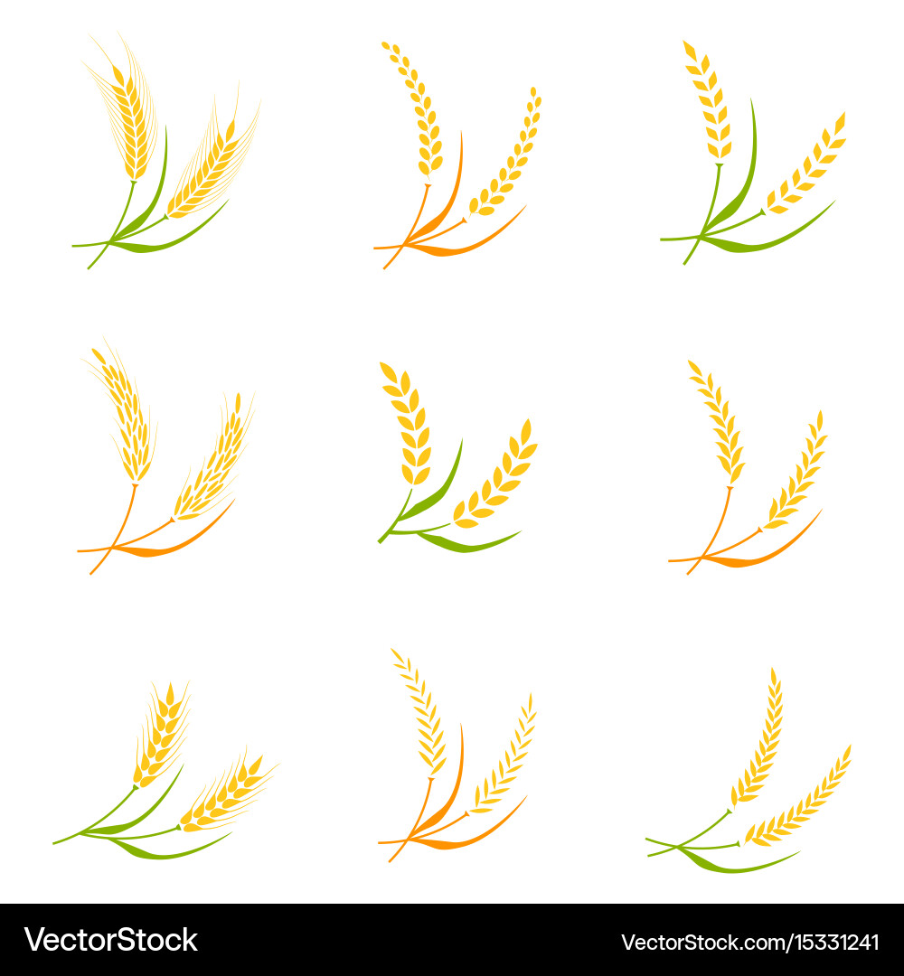 Ear spike logo badge icon wheat isolated Vector Image