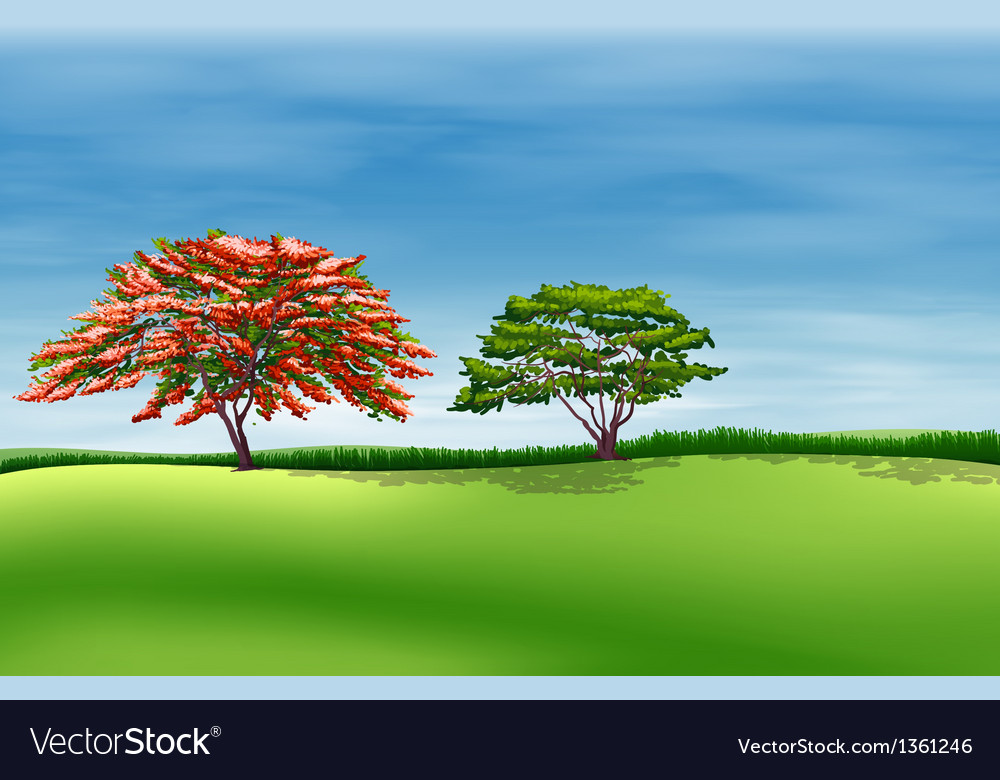 Environment Royalty Free Vector Image - VectorStock