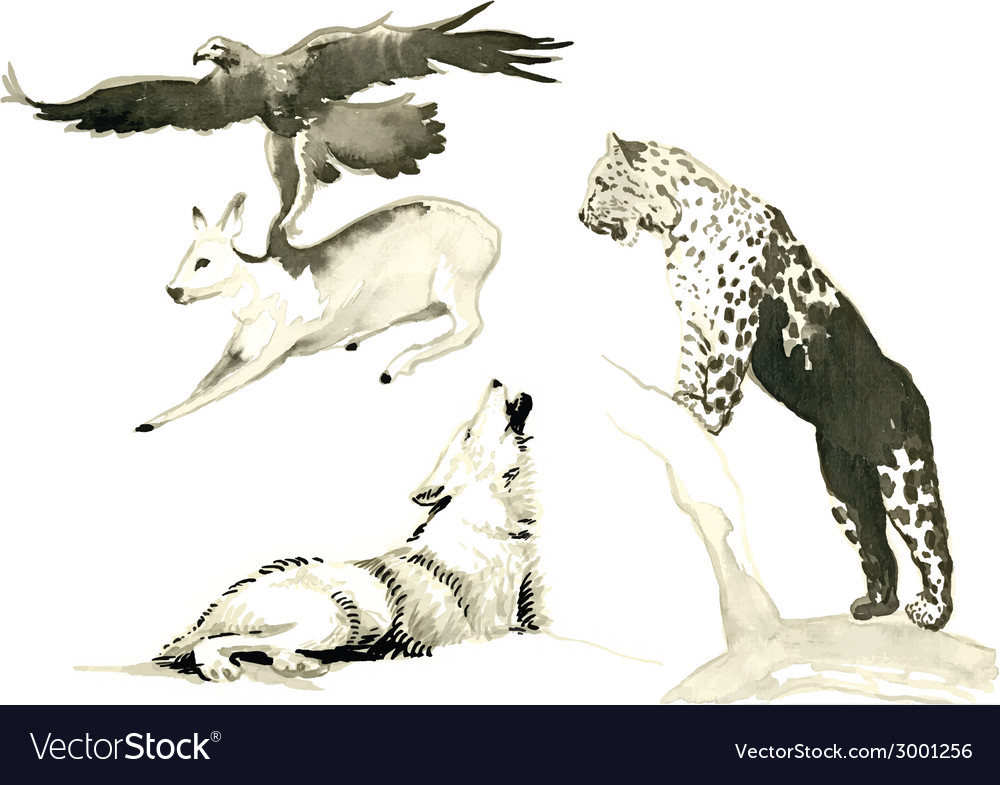 Animals Royalty Free Vector Image - VectorStock