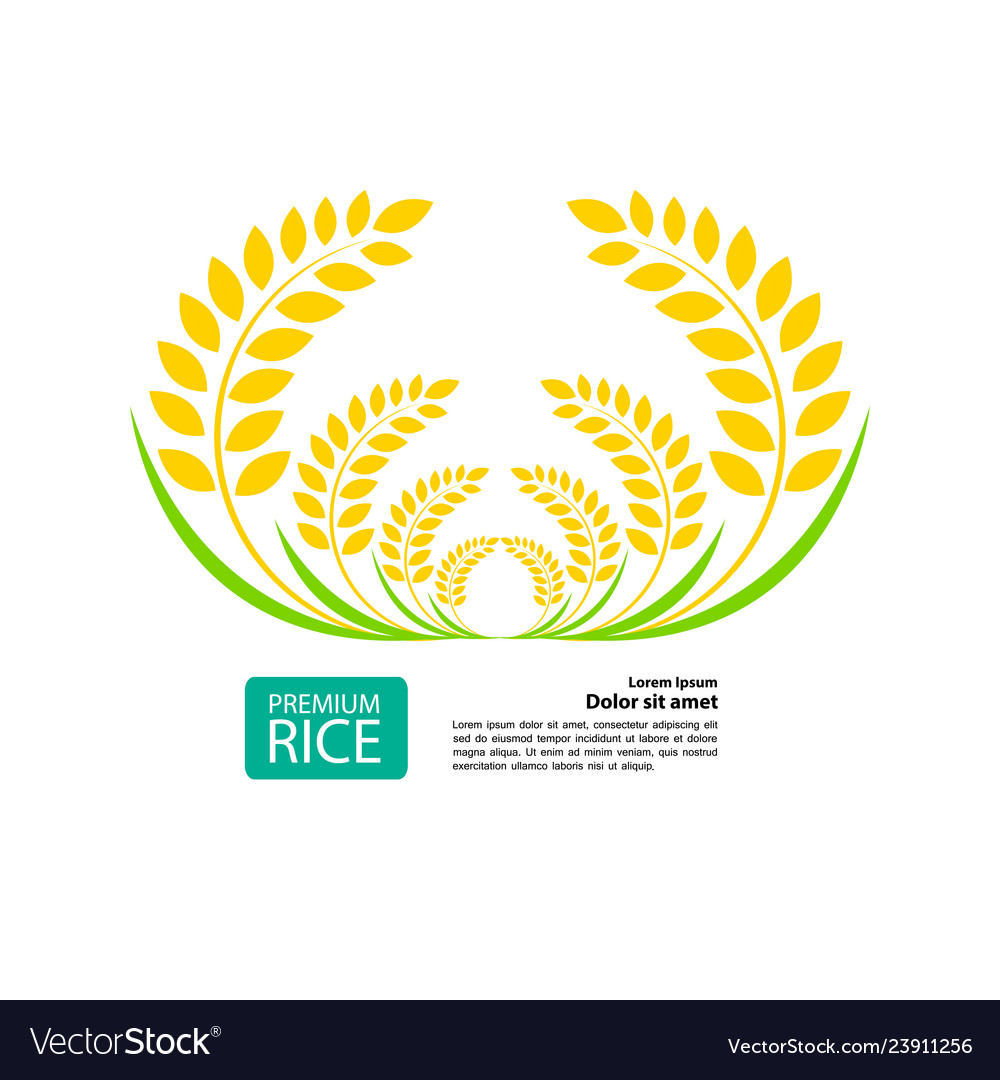 Premium rice great quality design concept Vector Image