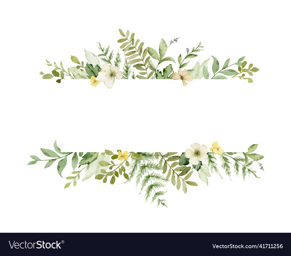 Watercolor banner with green forest foliage Vector Image