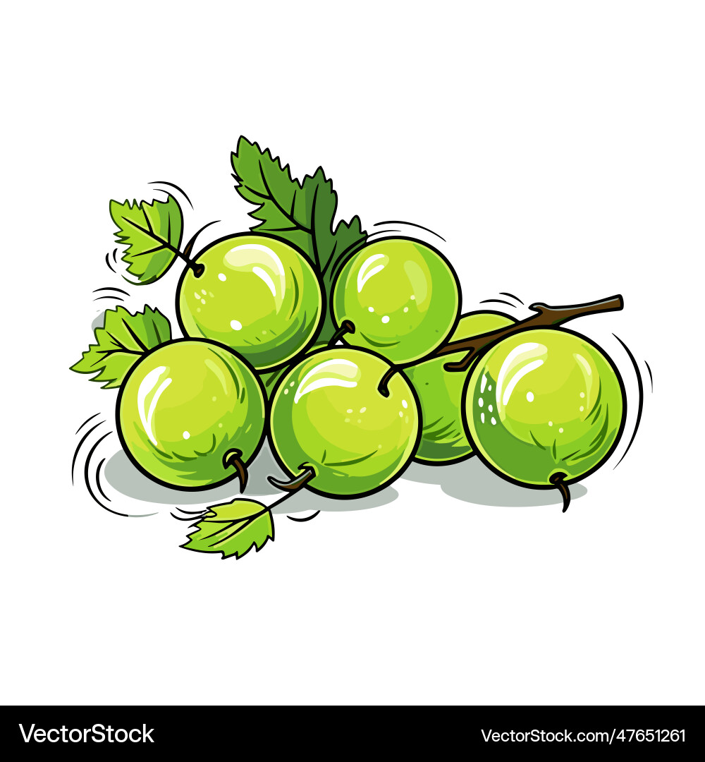 Amla hand-drawn doodle style cartoon Royalty Free Vector
