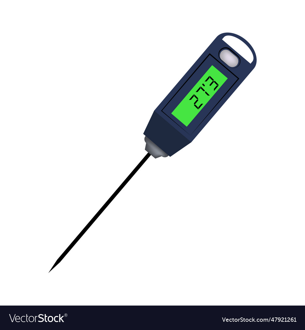 Kitchen or laboratory thermometer Royalty Free Vector Image
