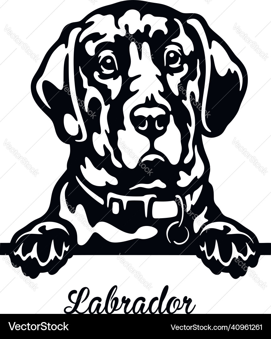 Yellow Lab Clip Art Black And White