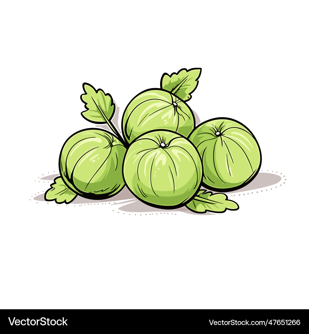 Amla hand-drawn doodle style cartoon Royalty Free Vector