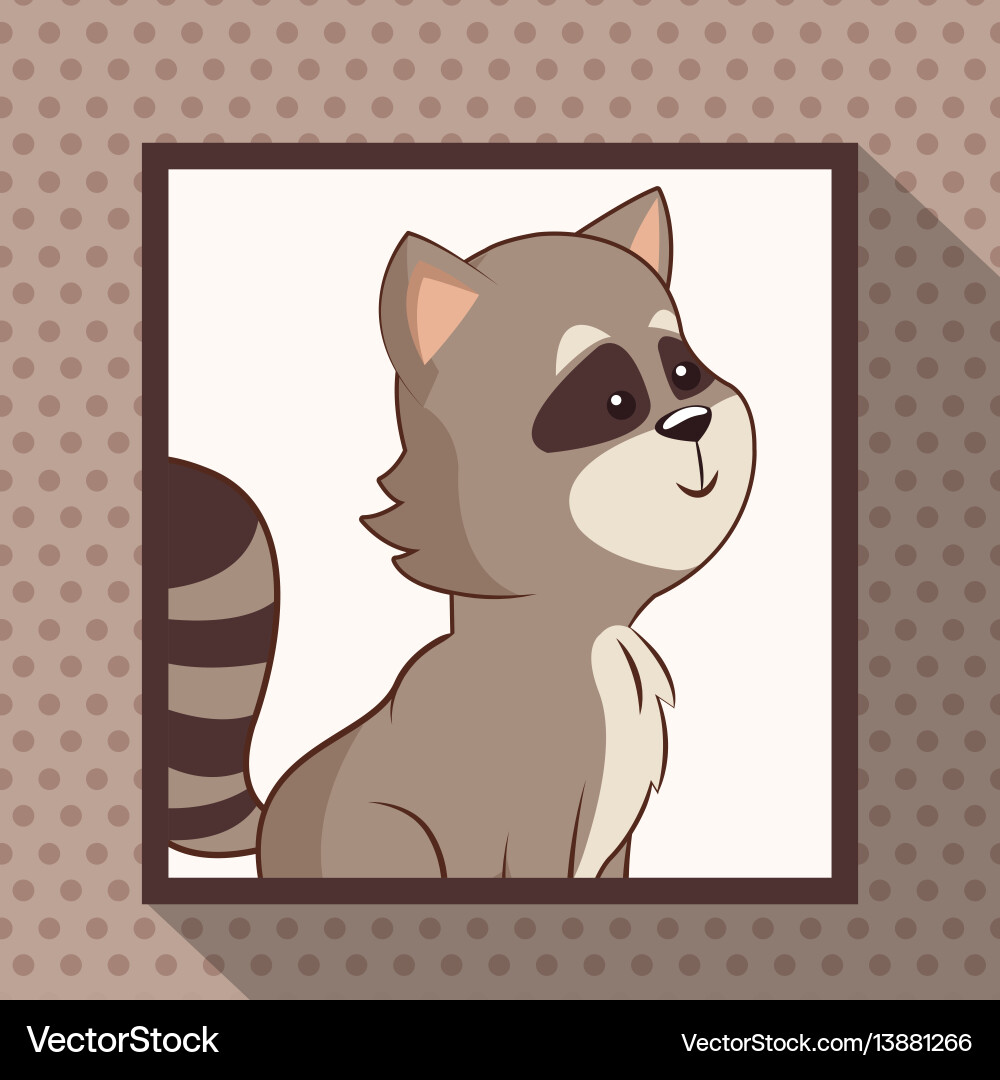 Cute raccoon frame picture Royalty Free Vector Image