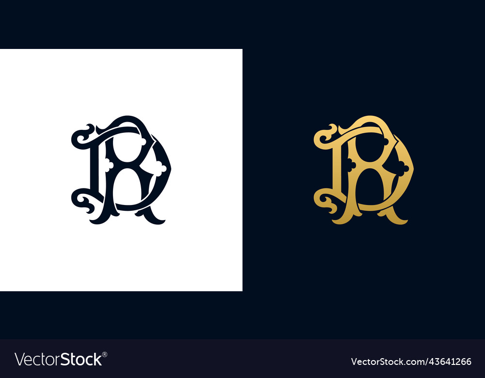 Decorative vintage initial letters dr monogram Vector Image Decorative vintage initial letters dr monogram Vector Image