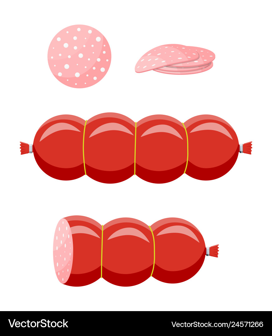 Sausage cut slices with fat Royalty Free Vector Image