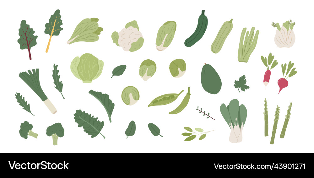 Collection of iron rich different vegetables Vector Image