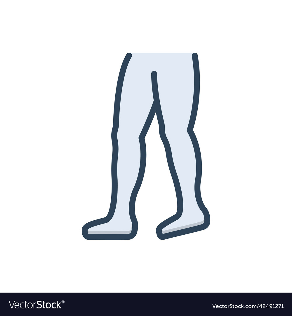 Leg Royalty Free Vector Image - VectorStock