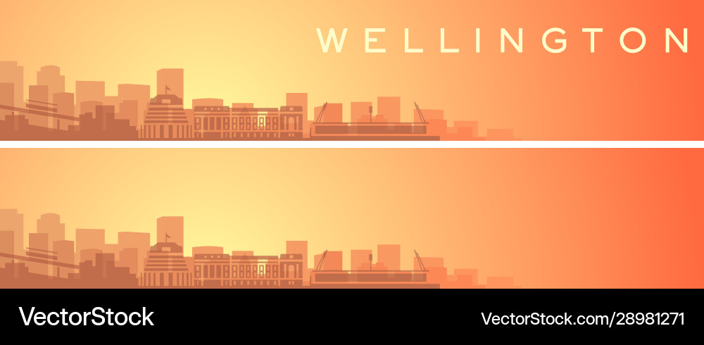 Wellington beautiful skyline scenery banner Vector Image