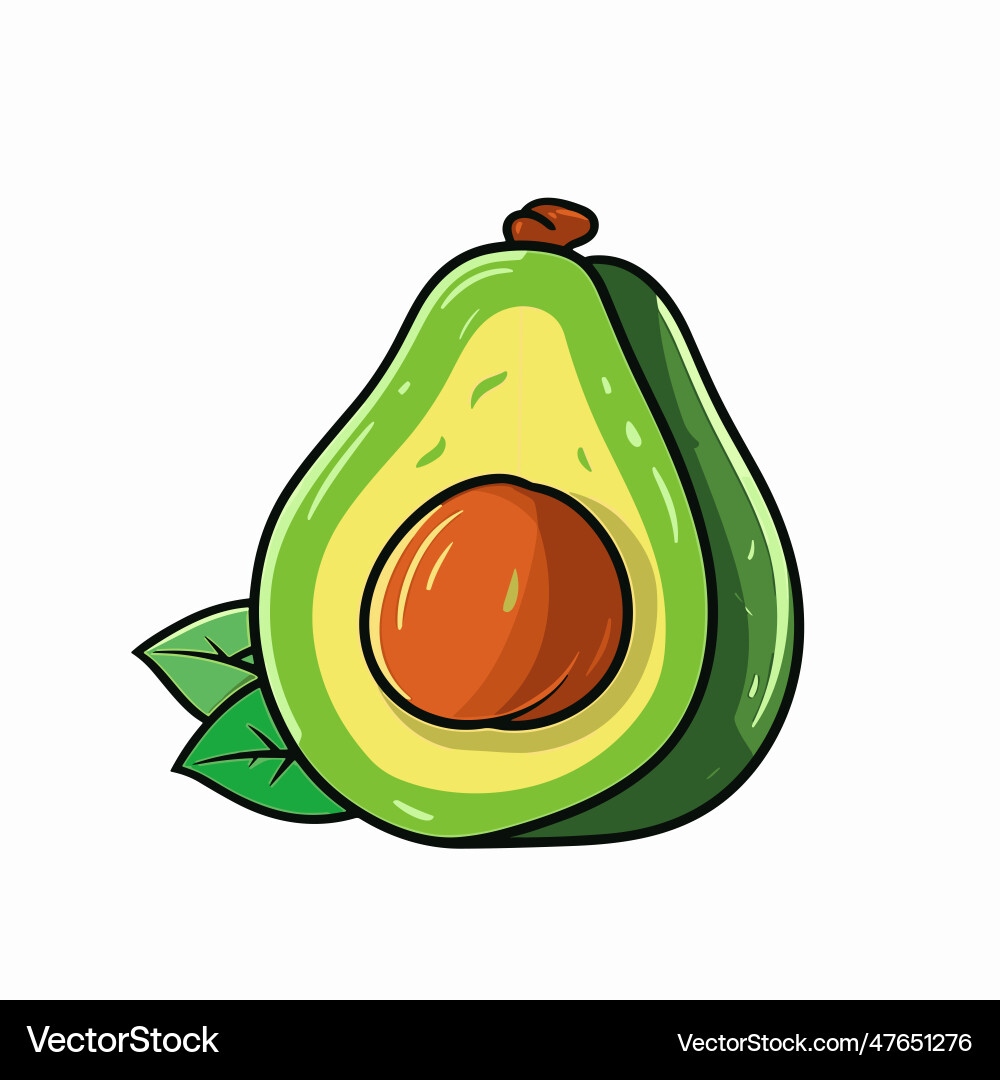 Avocado hand-drawn avocado doodle style cartoon Vector Image
