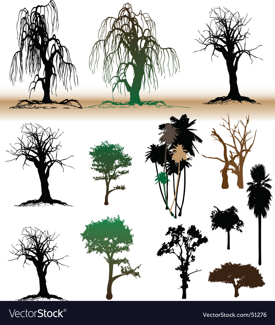 Trees Royalty Free Vector Image - VectorStock