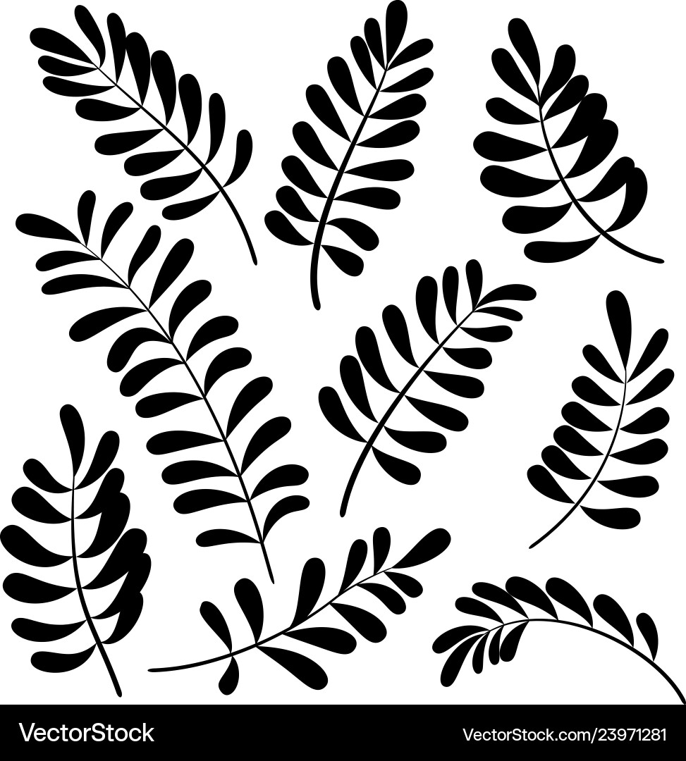 Leaves plants pictograms Royalty Free Vector Image